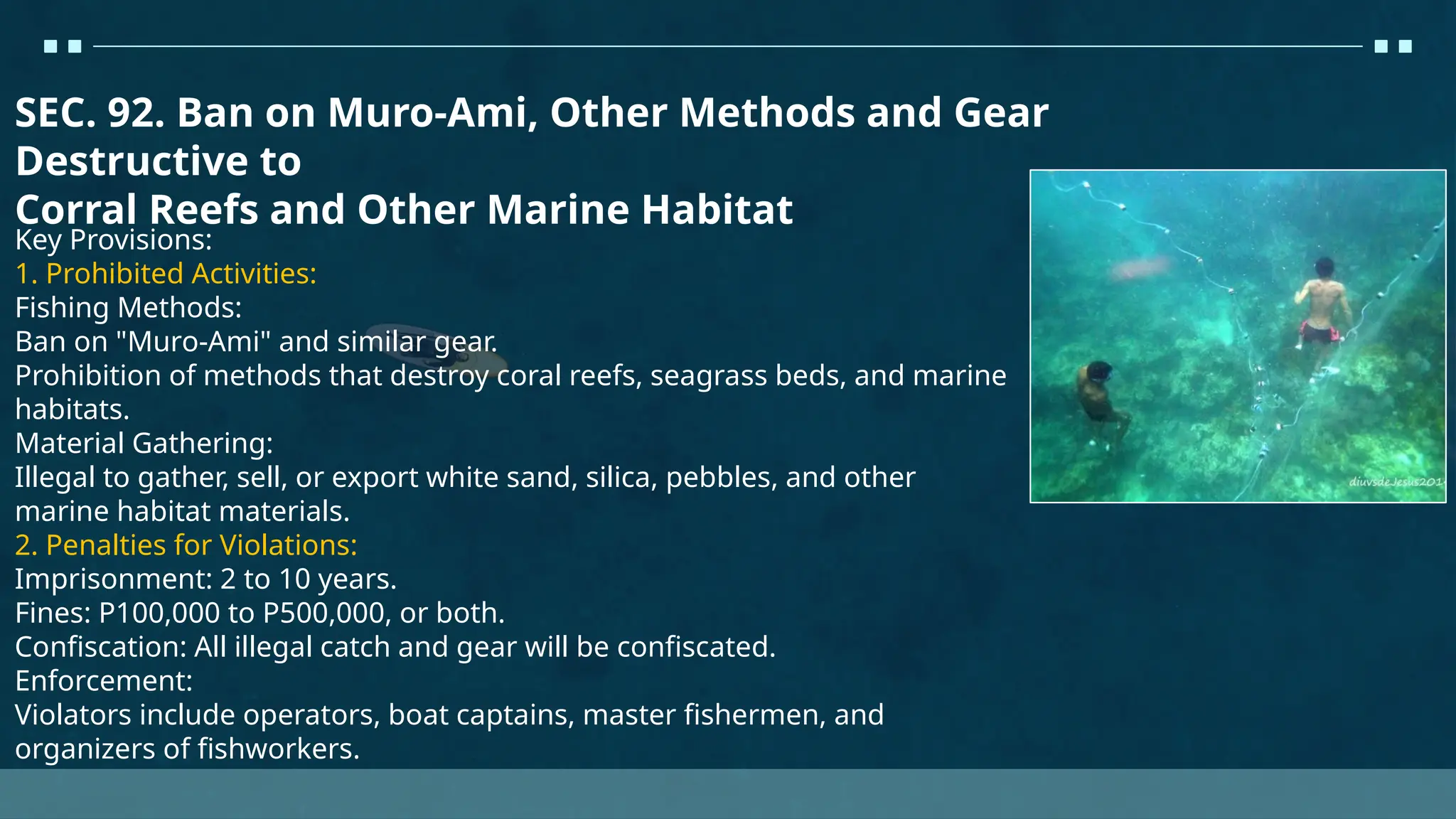 Philippine Fisheries Law (Chapter VI).pptx