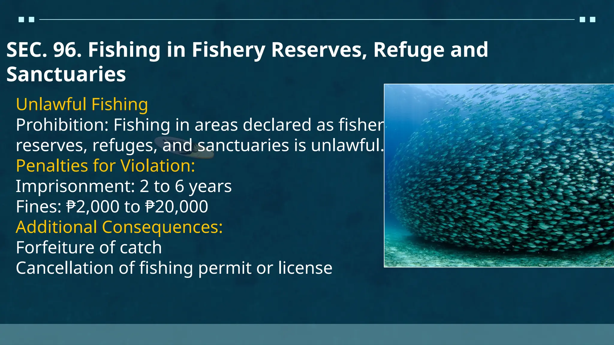 Philippine Fisheries Law (Chapter VI).pptx