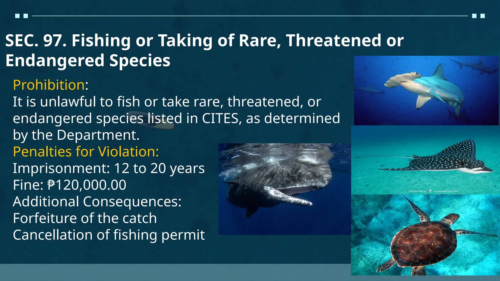 Philippine Fisheries Law (Chapter VI).pptx