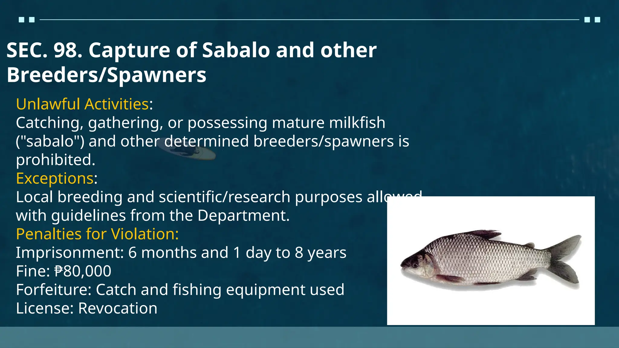 Philippine Fisheries Law (Chapter VI).pptx