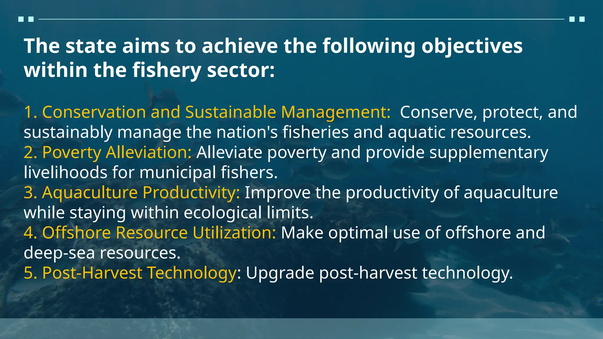 Philippine Fisheries Law (Chapter VI).pptx
