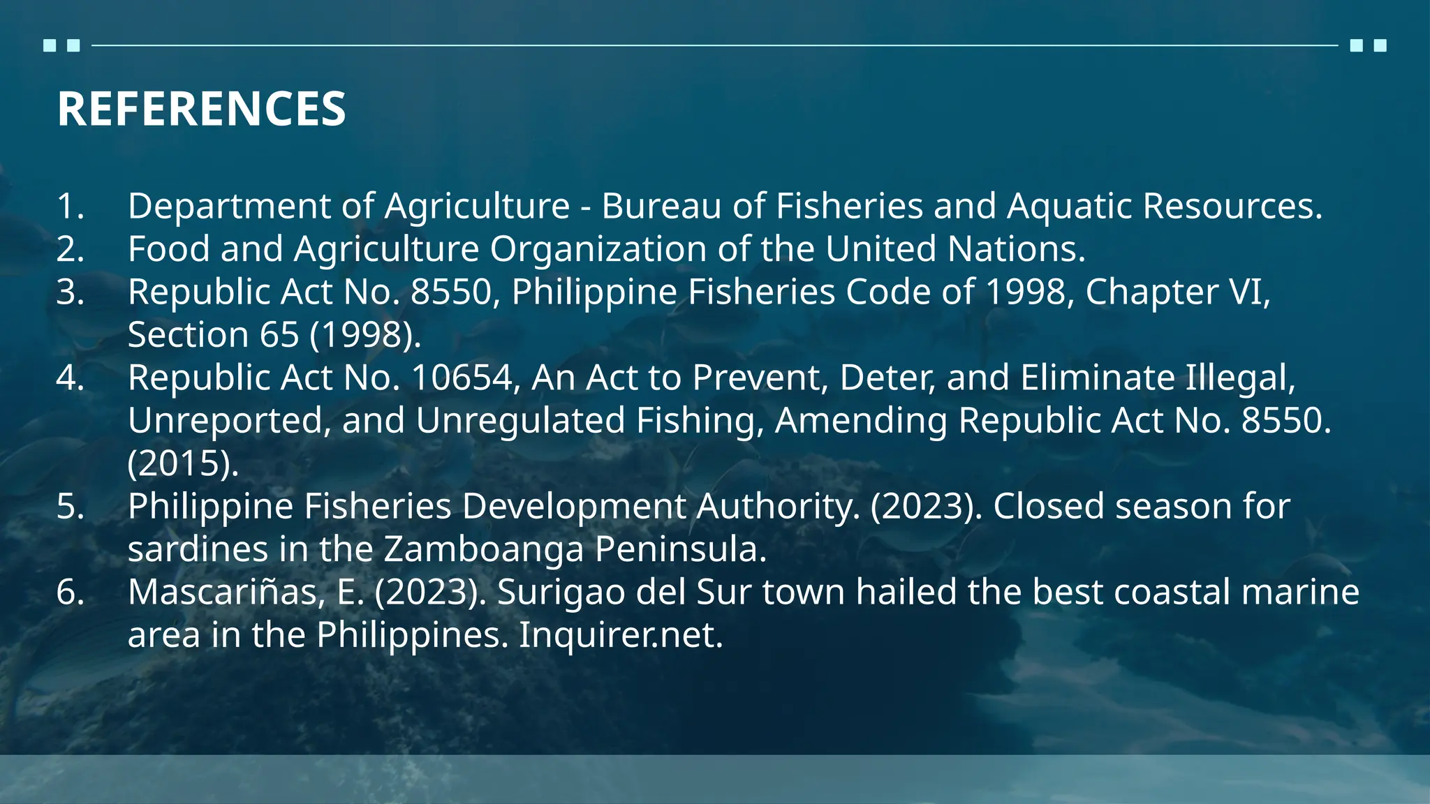 Philippine Fisheries Law (Chapter VI).pptx