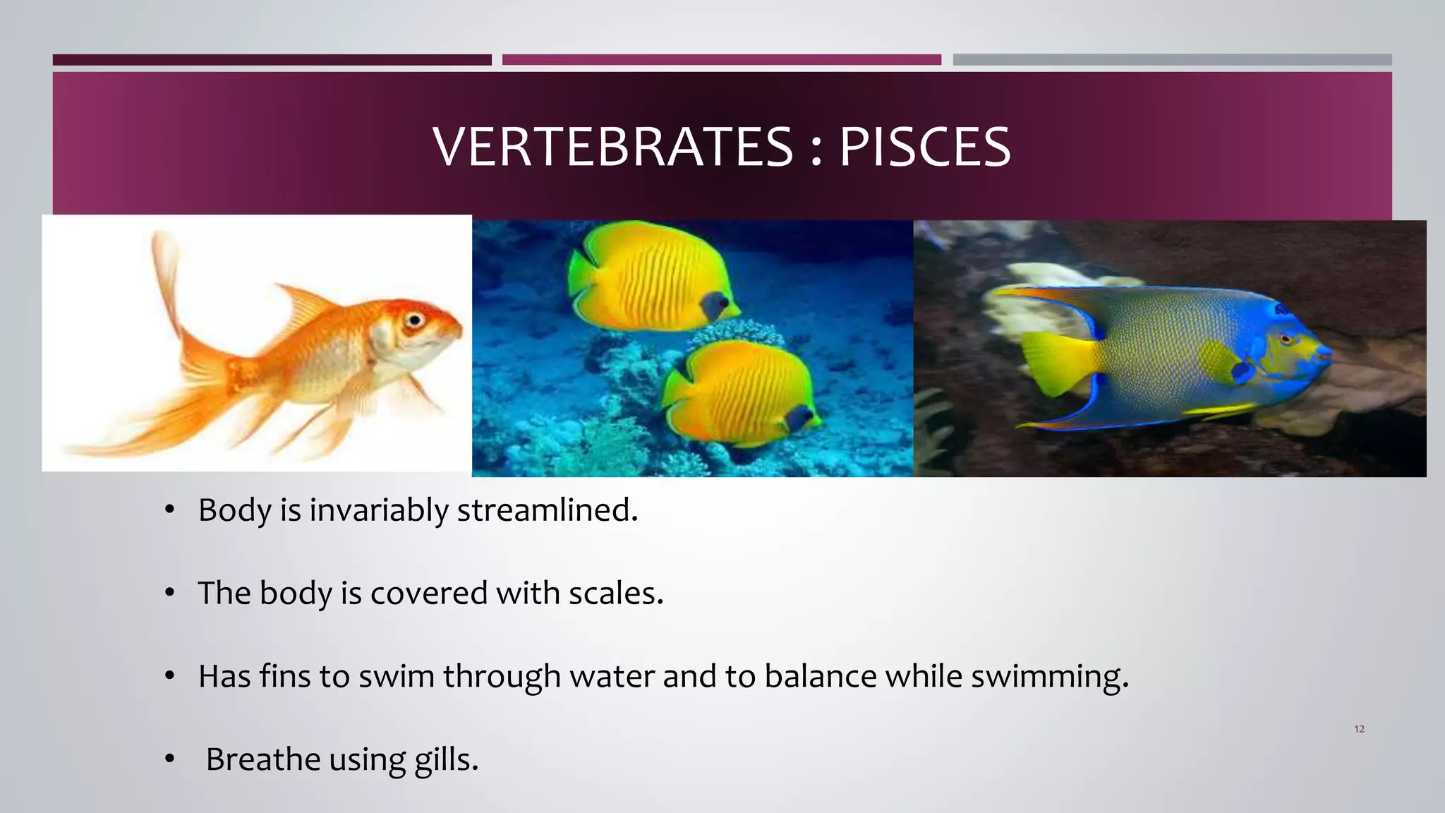 Fishery resources ppt | PPTX