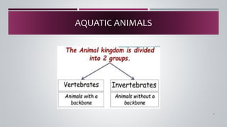 Fishery resources ppt | PPTX