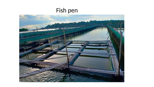 FISHERY TOOLS IN AQUACULTURE 7 TVL DDDD | PPT