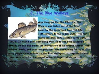 Fishes-student's project of Sto. Tomas College-Danao | PPTX