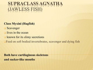 Fishes | PPT