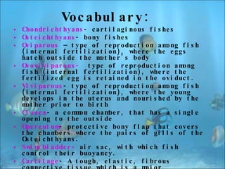 Fishes boris veli lilly 10-8 | PPT