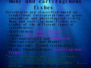 Fishes boris veli lilly 10-8 | PPT