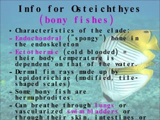 Fishes boris veli lilly 10-8 | PPT