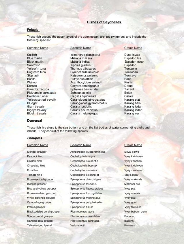 Fishes of seychelles_2011