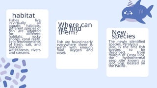 Explorando el Fascinante Mundo de los Peces y su Importancia en los ...