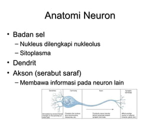 FISIOLOGI JARINGAN SARAF | PPT