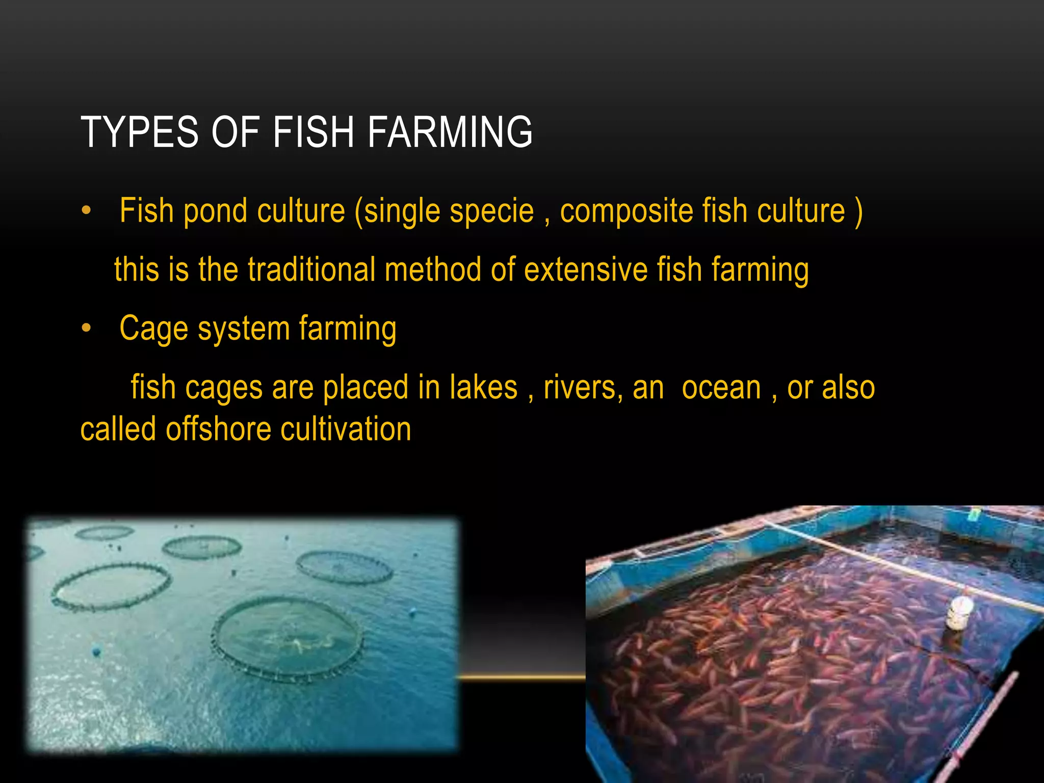 Fish farming | PPTX