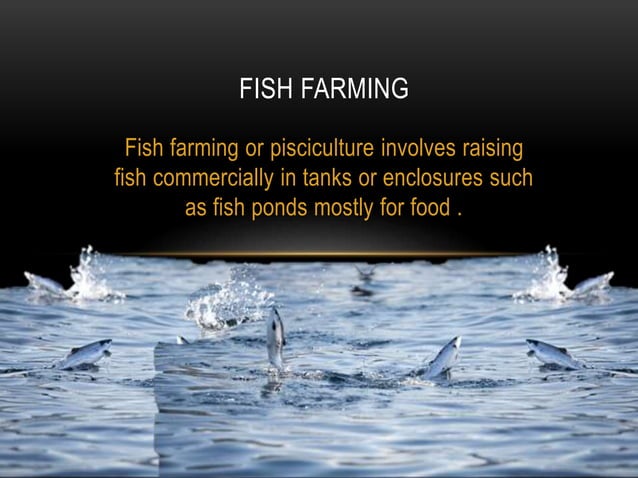 Fish farming | PPTX | Fishing Sports | Sports