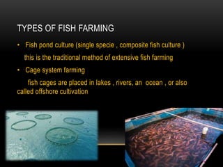 Fish farming | PPTX