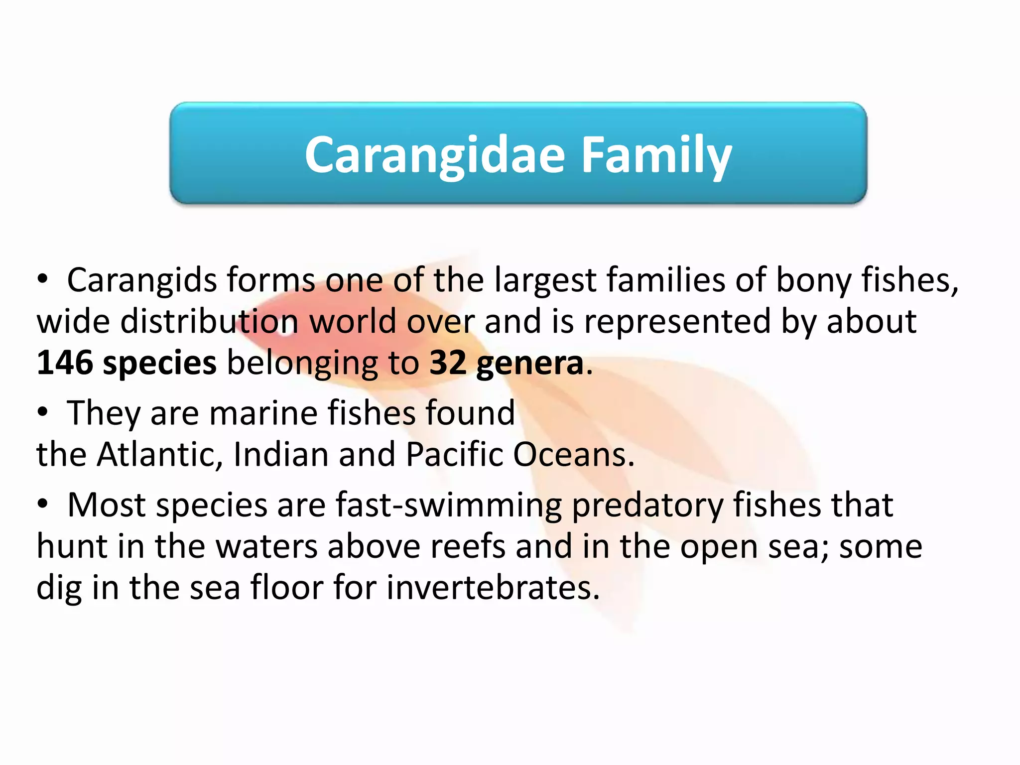 Fish family carangidae | PPTX | Fish and Aquariums | Pets