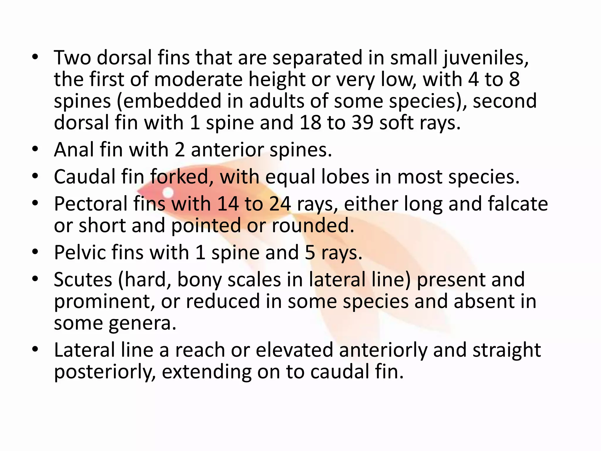 Fish family carangidae | PPTX