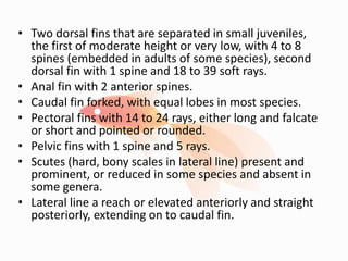 Fish family carangidae | PPTX