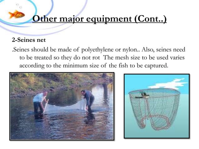 Fish farm design & construction | PPTX | Fishing Sports | Sports