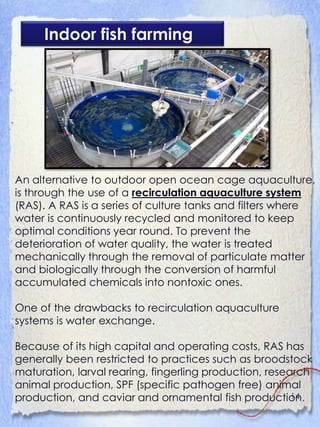 Fish farming | PPTX