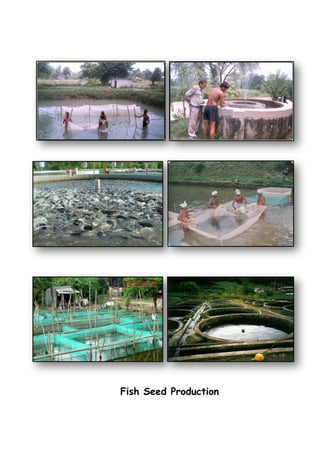 FISH SEED PRODUCTION & CULTIVABLE FISH SPECIES WITH FISH CUM DUCK ...