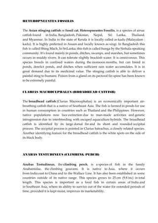 FISH SEED PRODUCTION & CULTIVABLE FISH SPECIES WITH FISH CUM DUCK ...