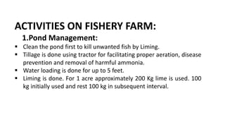 Fish Farming.pptx