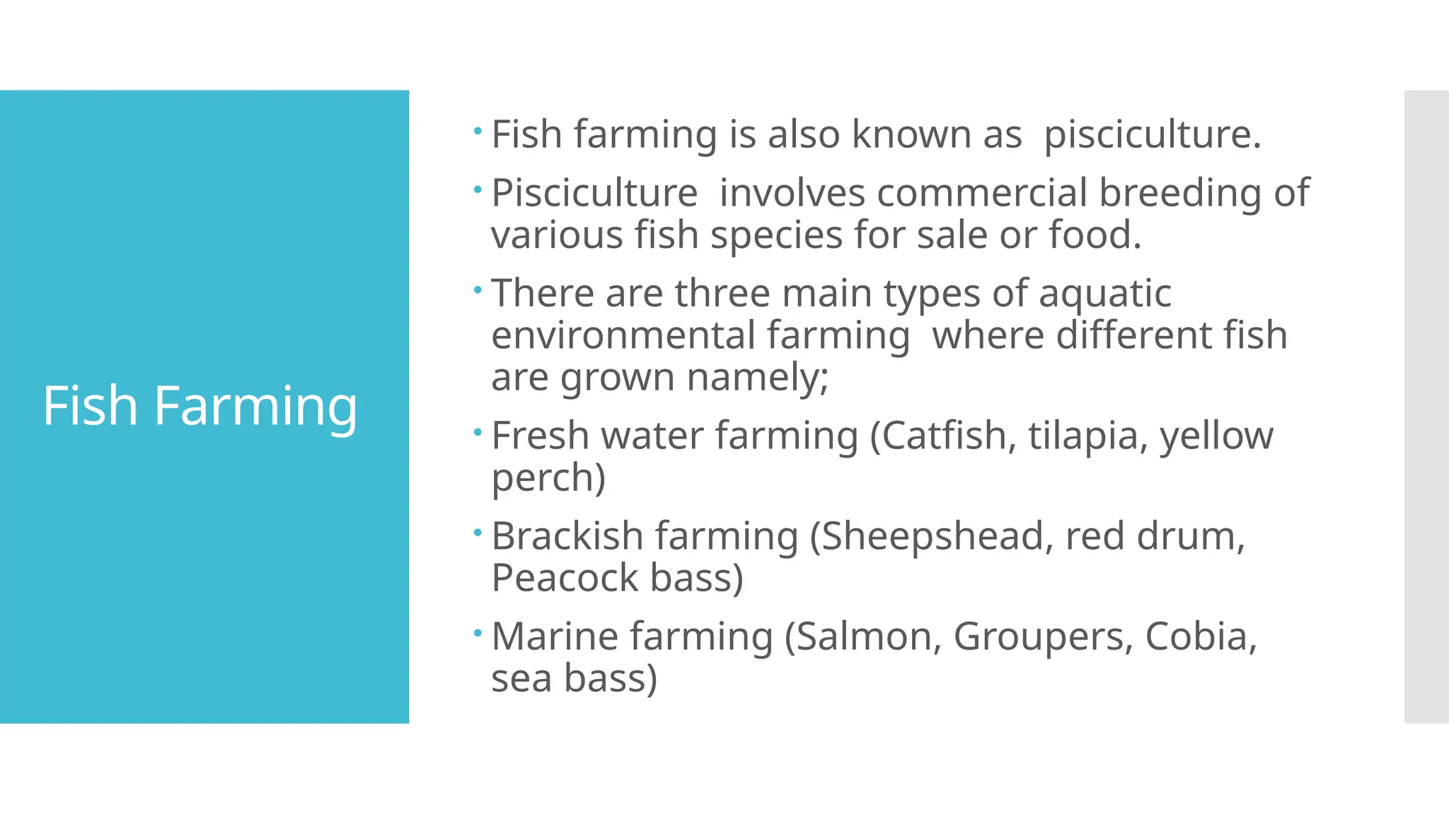 Fish Farming (Agriculture) in practice Aquaculture | PPT