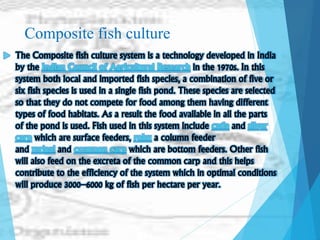 Fish farming - bio project | PPTX