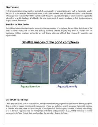 Fish farming gis | PDF