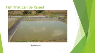 Fish Farming_Grp2_ Lesson for 3rd Quarter.pptx