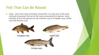 Fish Farming_Grp2_ Lesson for 3rd Quarter.pptx