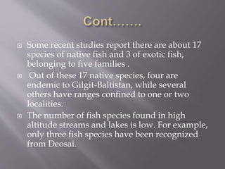 Fish fauna of Gilgit-Baltistan | PPTX