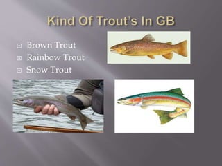 Fish fauna of Gilgit-Baltistan | PPTX