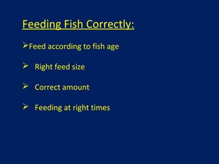Fish feed and feeding | PPT