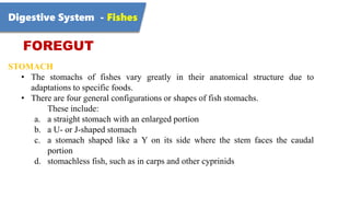 FISH FEEDING HABITS.pptx