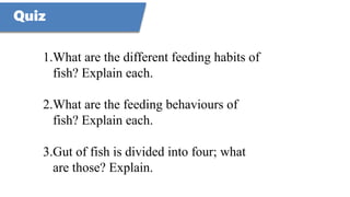 FISH FEEDING HABITS.pptx