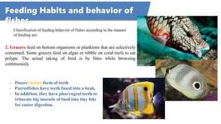 FISH FEEDING HABITS.pptx