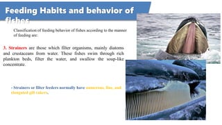 FISH FEEDING HABITS.pptx