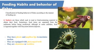 FISH FEEDING HABITS.pptx
