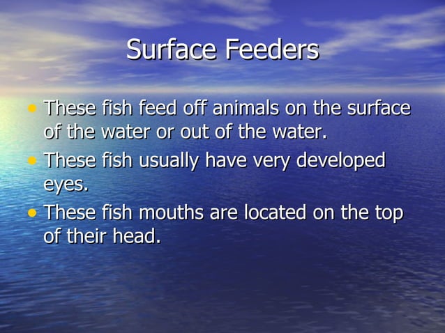 Fish feeding technique | PPT