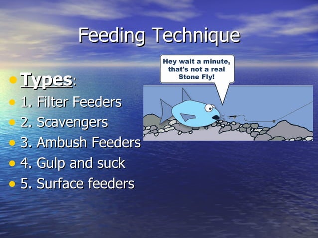 Fish feeding technique | PPT