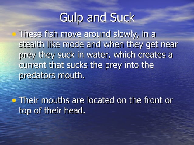 Fish feeding technique | PPT