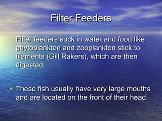 Fish Feeding Technique Notes | PPT