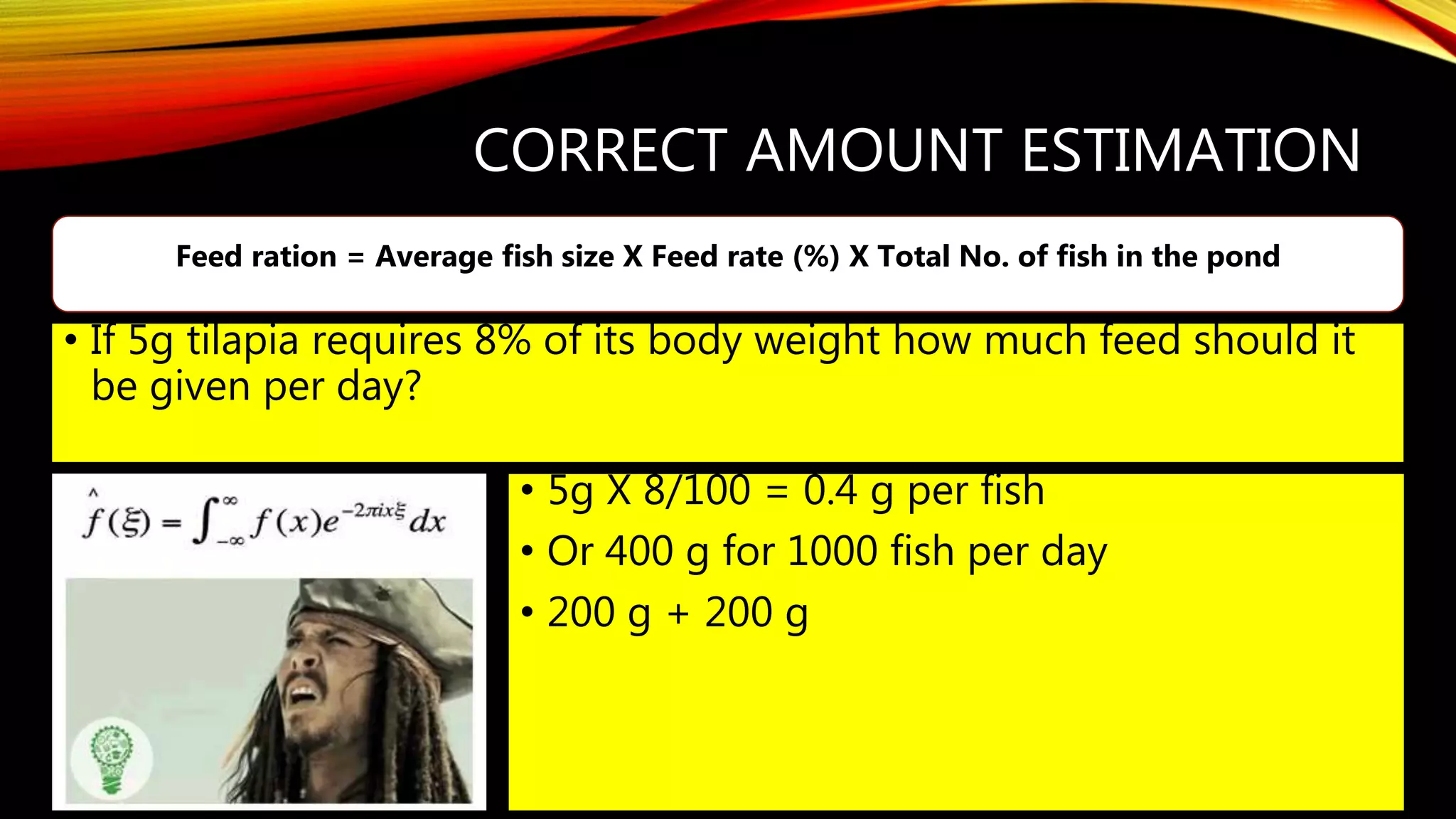 Fish feeding and feeding types | PPTX