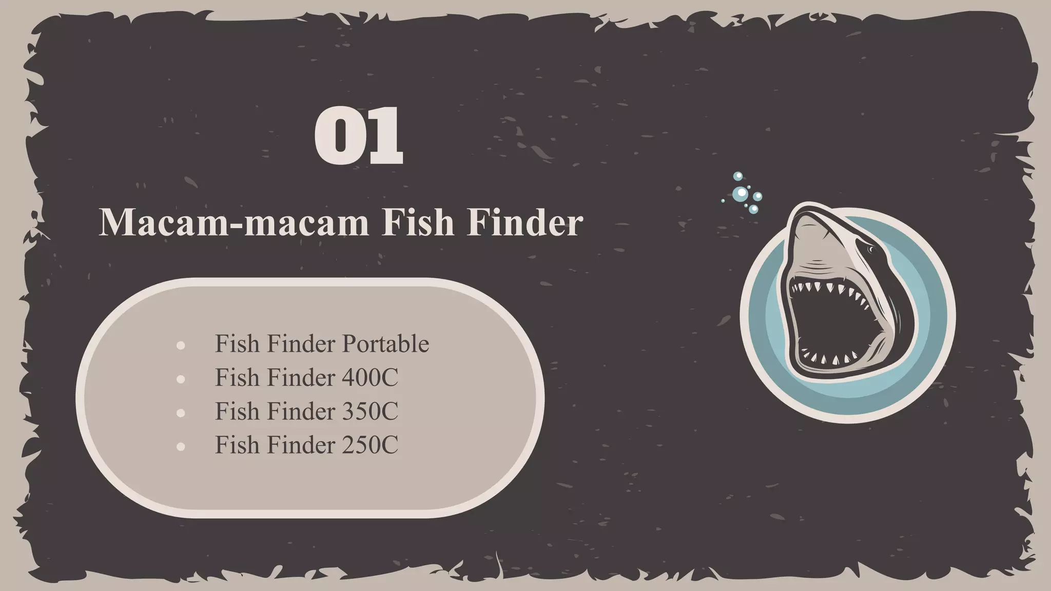 FISH FINDER.pptx