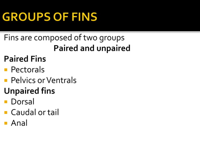 Fish fins | PPTX