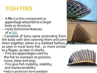 fishfins- sneha manjul ( msc sem 3 ) paper - 3 ( Fish Biology and ...