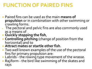 fishfins- sneha manjul ( msc sem 3 ) paper - 3 ( Fish Biology and ...